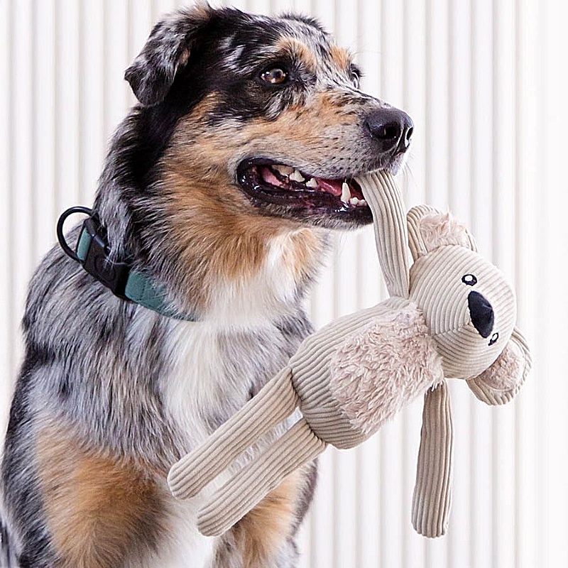 FuzzYard Life Corduroy Koala Dog Toy from our Plush Dog Toys range.