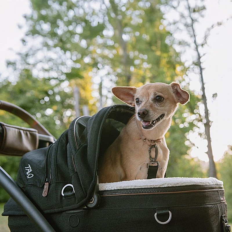 Tavo Maeve Small Breed Dog Pram 3-in-1 Travel System from our Dog Prams ...