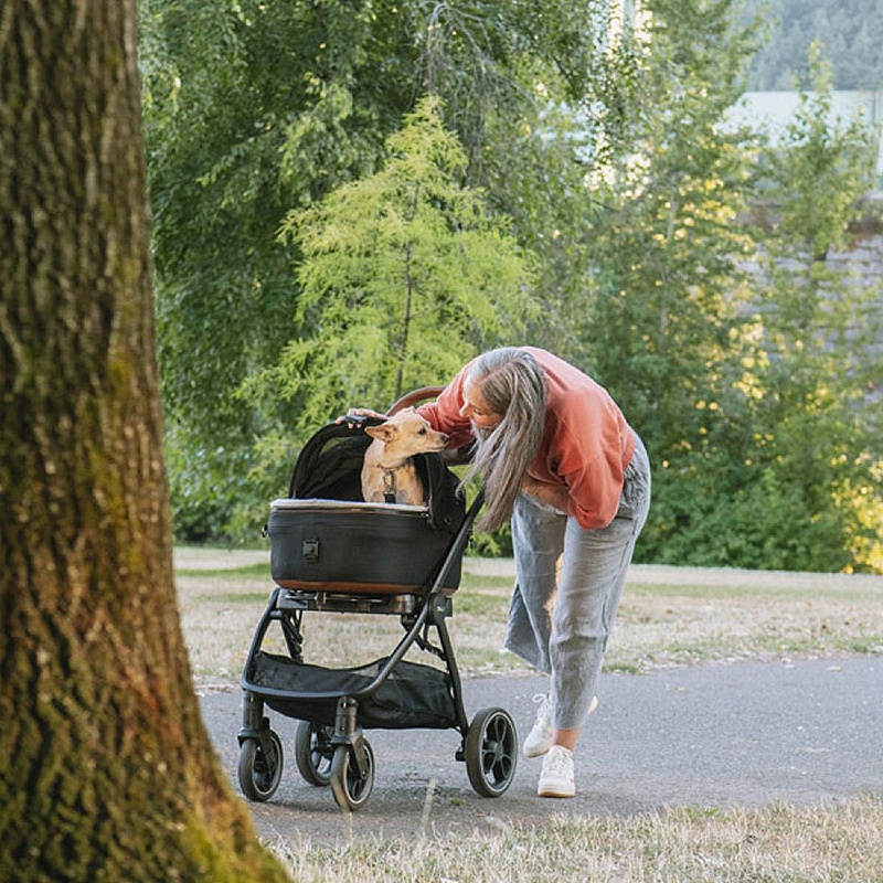 Tavo Maeve Small Breed Dog Pram 3-in-1 Travel System from our Dog Prams ...