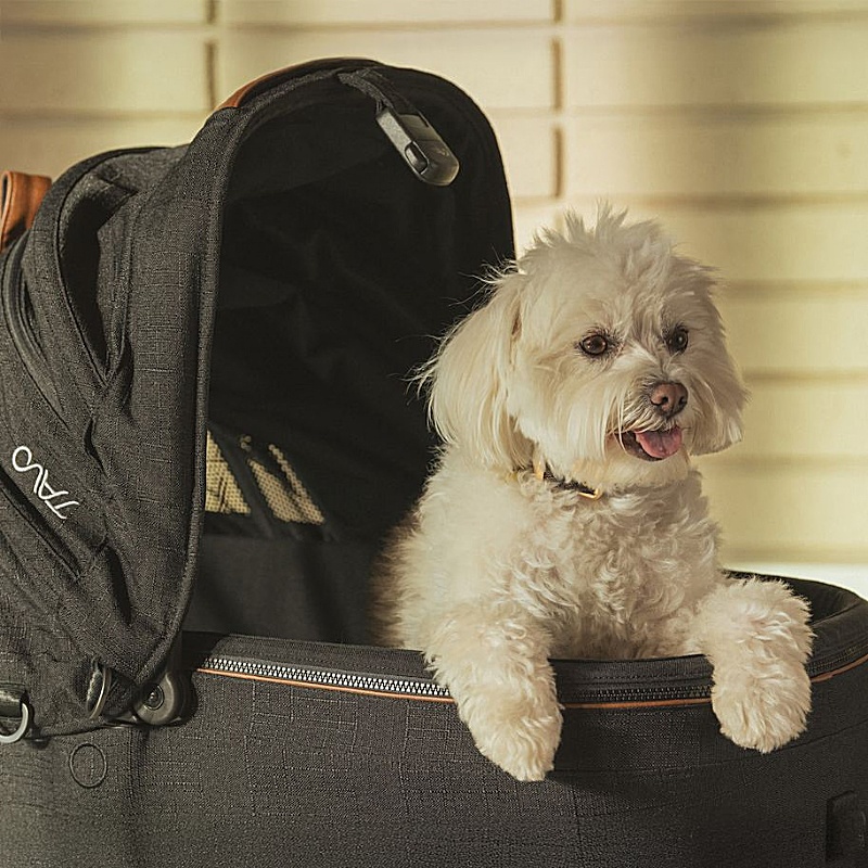 Tavo Maeve Small Breed Dog Pram 3-in-1 Travel System from our Dog Prams ...