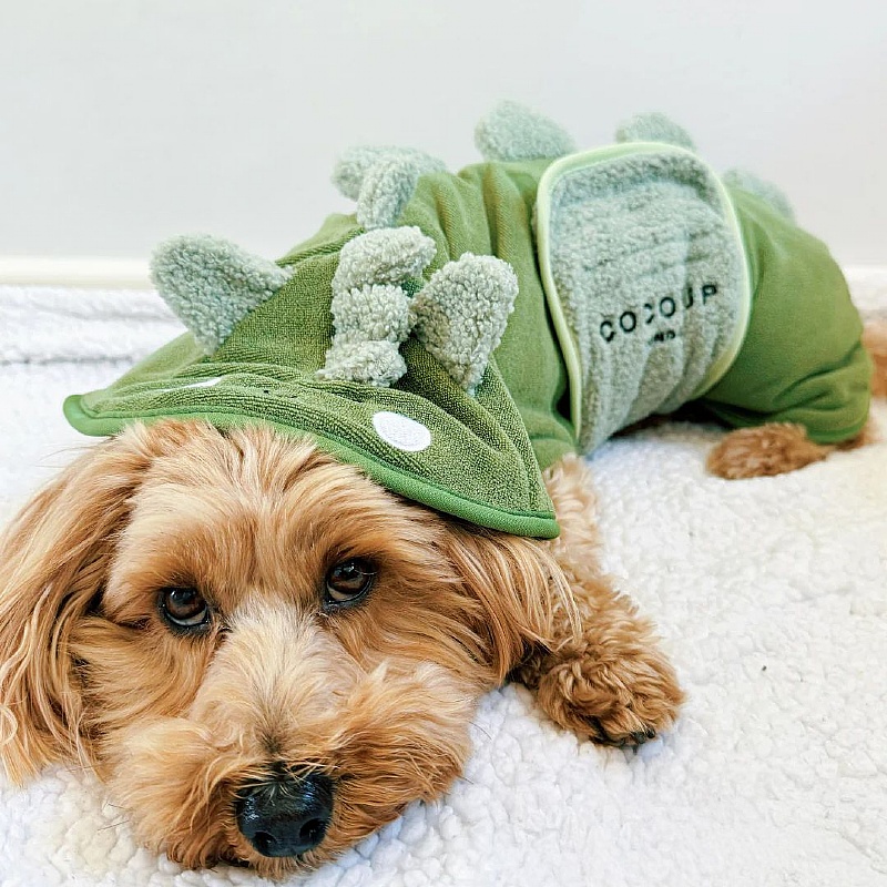 Dinopup Dog Drying Robe from our Dog Drying Coats range.
