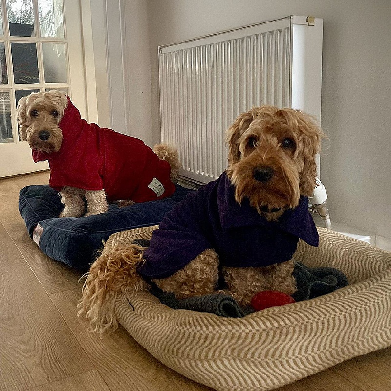 Ruff and Tumble Classic Dog Drying Coats from our Dog Drying Coats range.