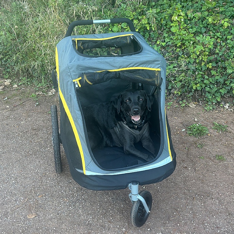 Hercules 2.0 XL Dog Pram with Free Raincover from our Dog Prams range.